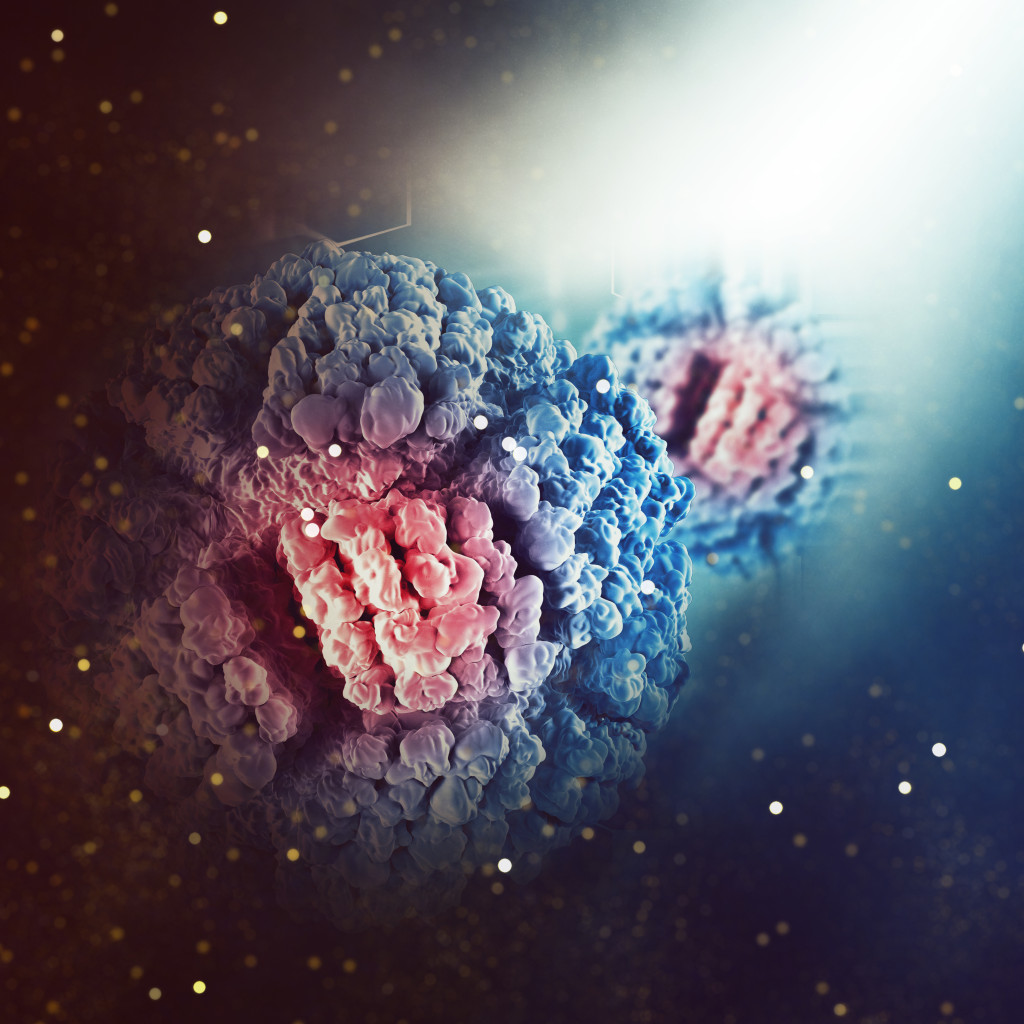 Insights on Colon Cancer Development | FOMAT Medical